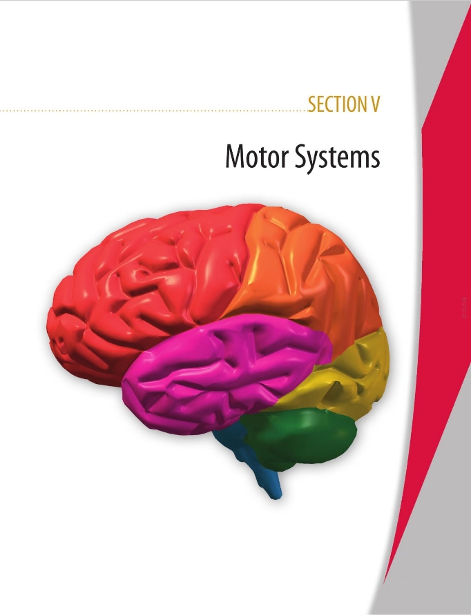 Brain Bee国际赛备赛书籍——《Essential Neuroscience》 - Brain Bee竞赛