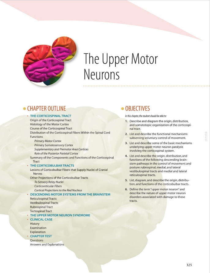 Brain Bee国际赛备赛书籍——《Essential Neuroscience》 - Brain Bee竞赛