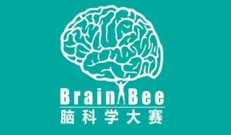 2025年Brain Bee全国赛时间